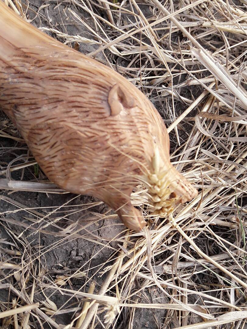 Hatchet Survival/Hunting Tomahawk Viking Beard Dog On Axe Handle Viking ...