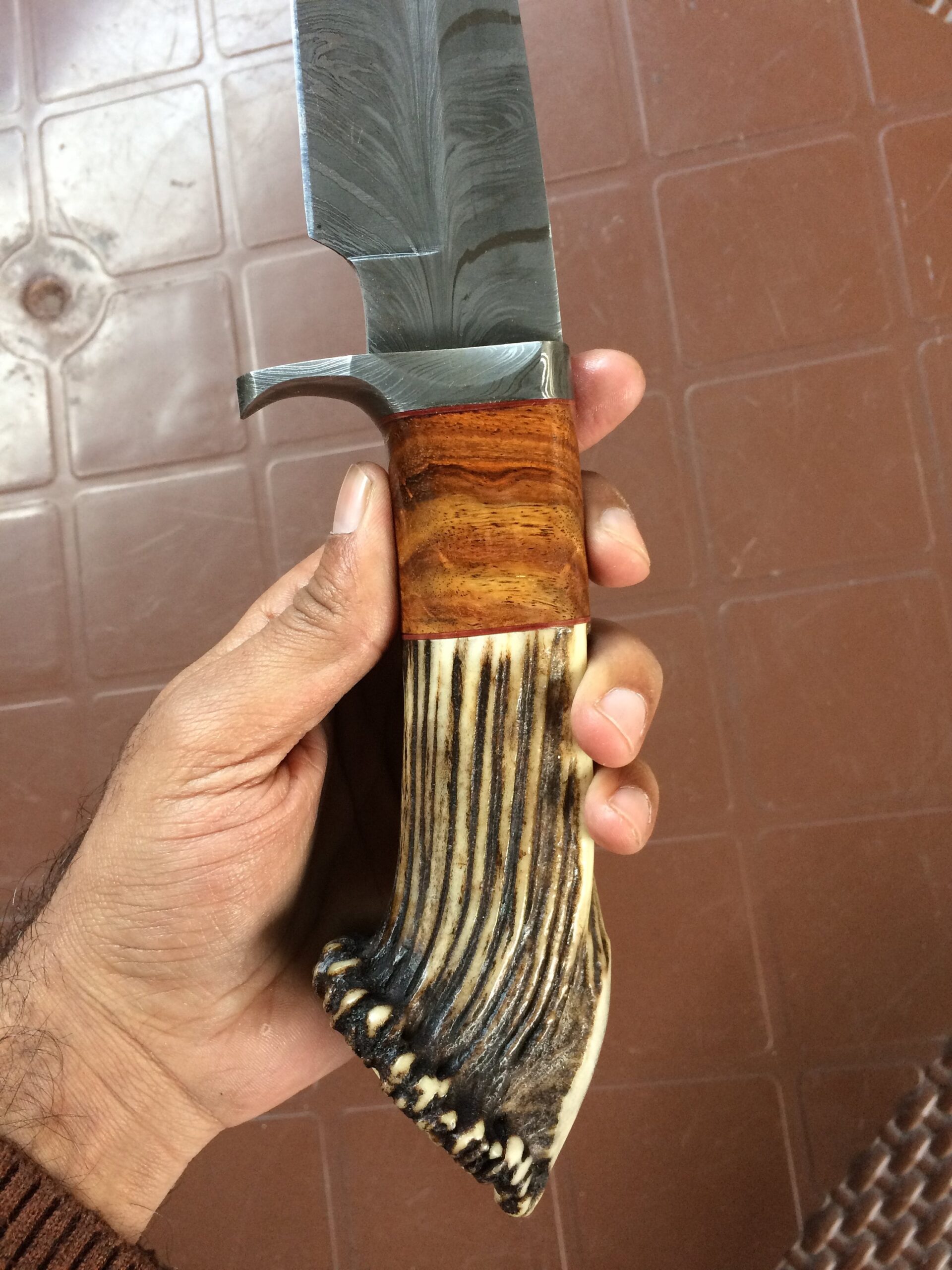 11 inches feather Damascus handmade knife with stag horn and wood handle