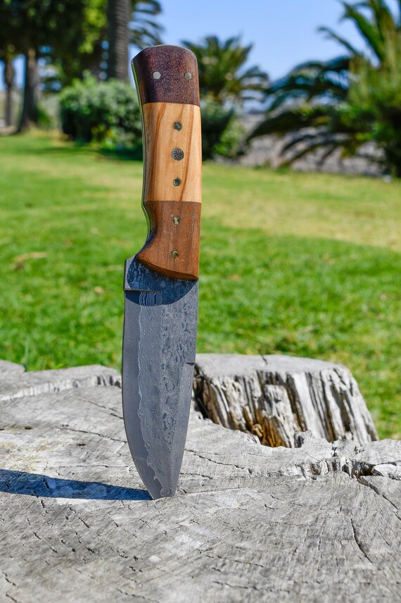 10 inches Damascus Steel Fixed Blade Knife with walnut and Olive wood ...