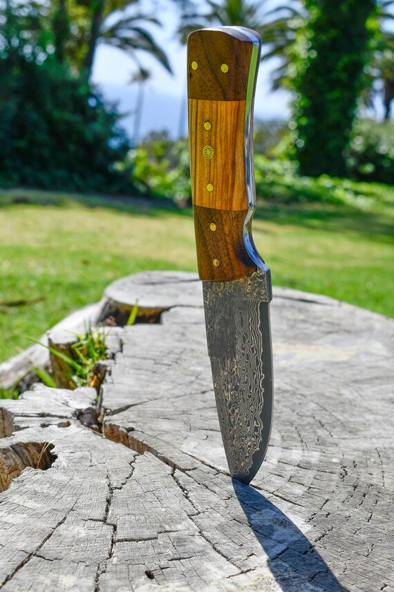 10 inches Damascus Steel Fixed Blade Knife with walnut and Olive wood ...